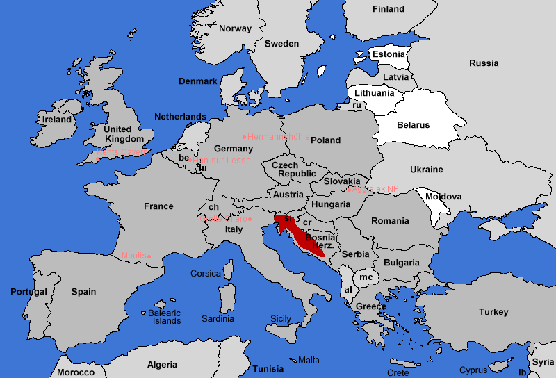 Impurest's Guide to Animals #33 - Olm - Off-Topic - Comic Vine