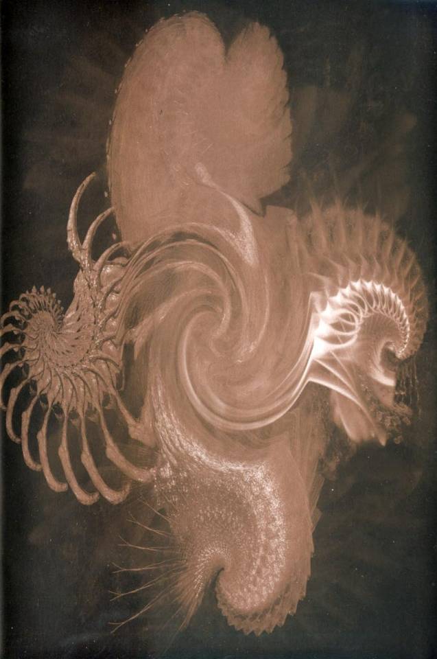 The Vertigo Tarot #1 - Vertigo Tarot (Issue)