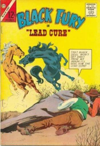 Black Fury #45 - Lead Cure (Issue)