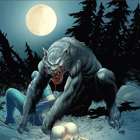 Wolf Protecting Women